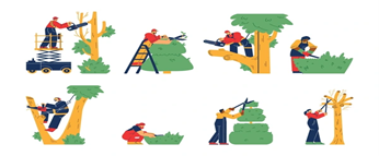 Pruning Basics – Pepperell Garden Club